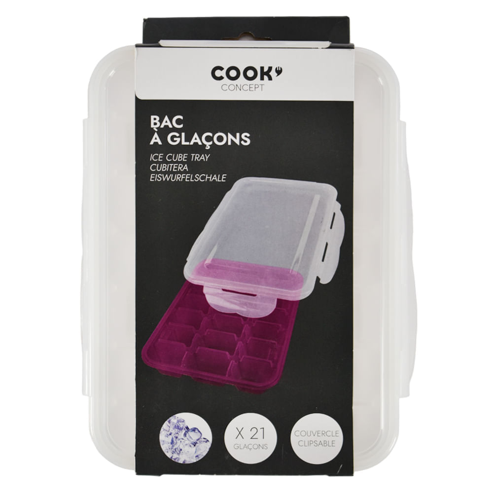Cubetera con tapa 21 Cubitos Cook - Disco
